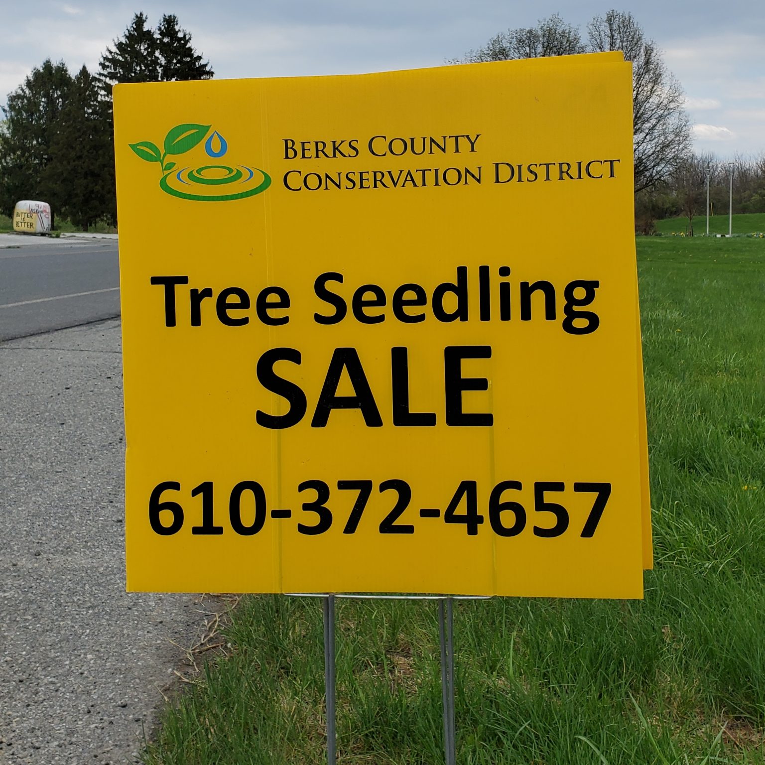 Seedling Sale - Grow Together