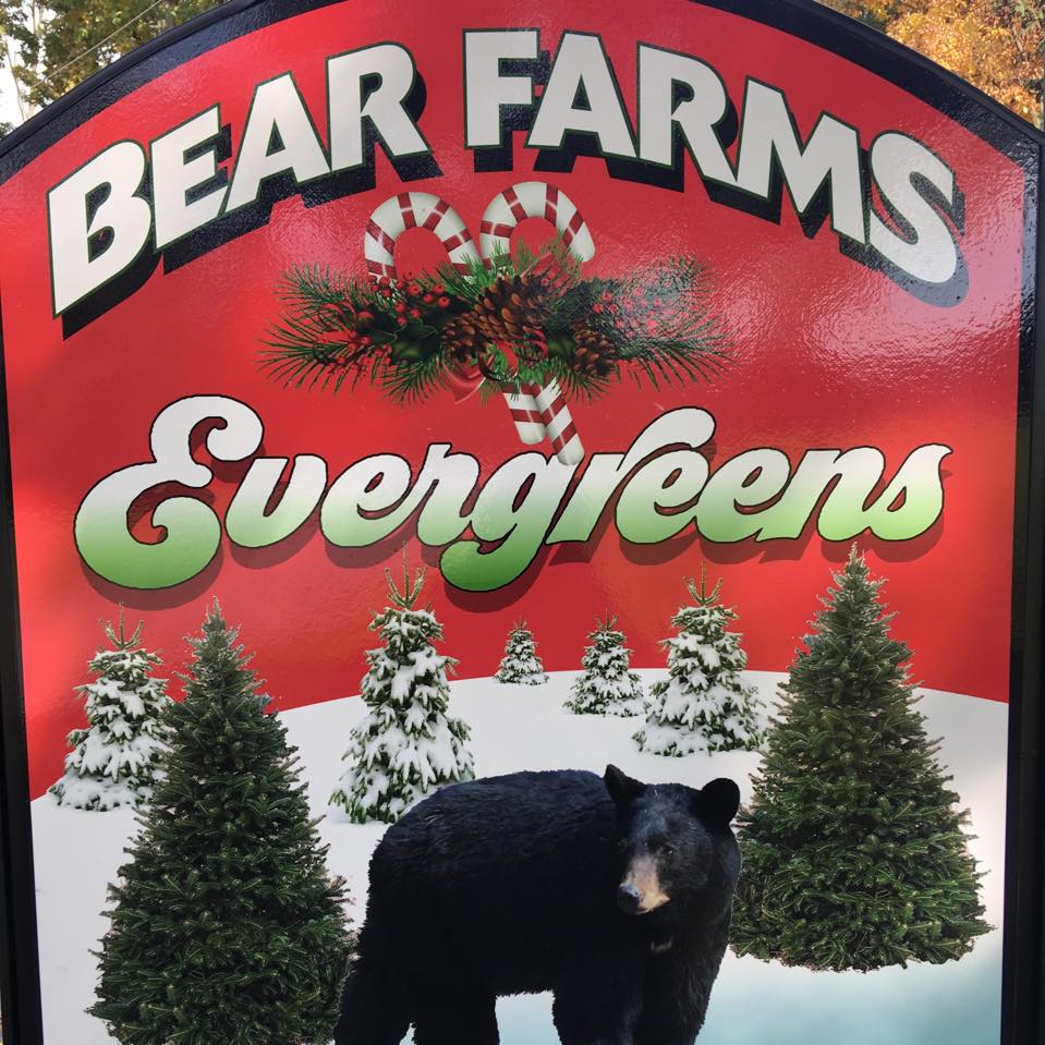 Bear Farms Evergreens - Grow Together