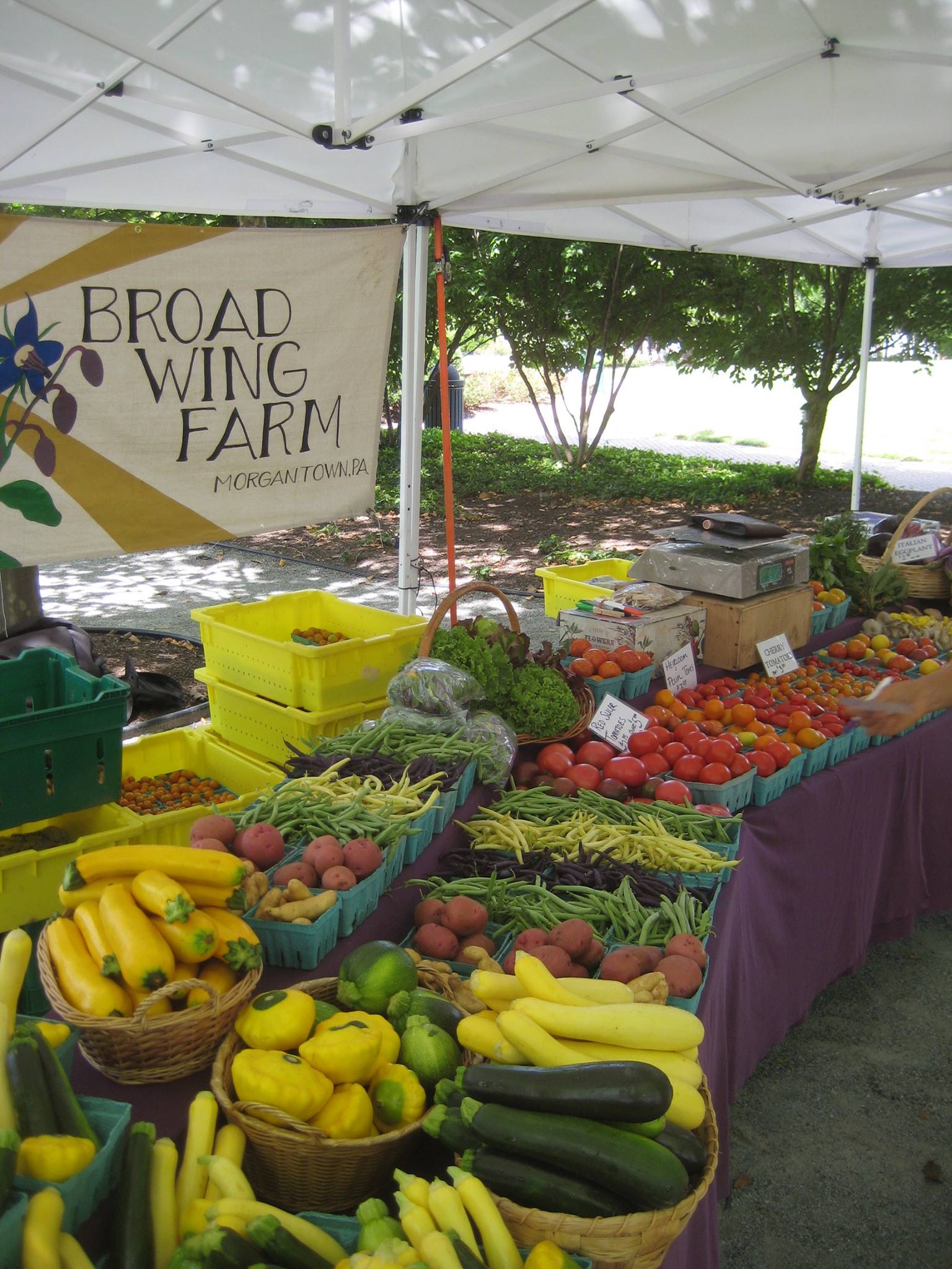 Broad Wing Farm - Grow Together