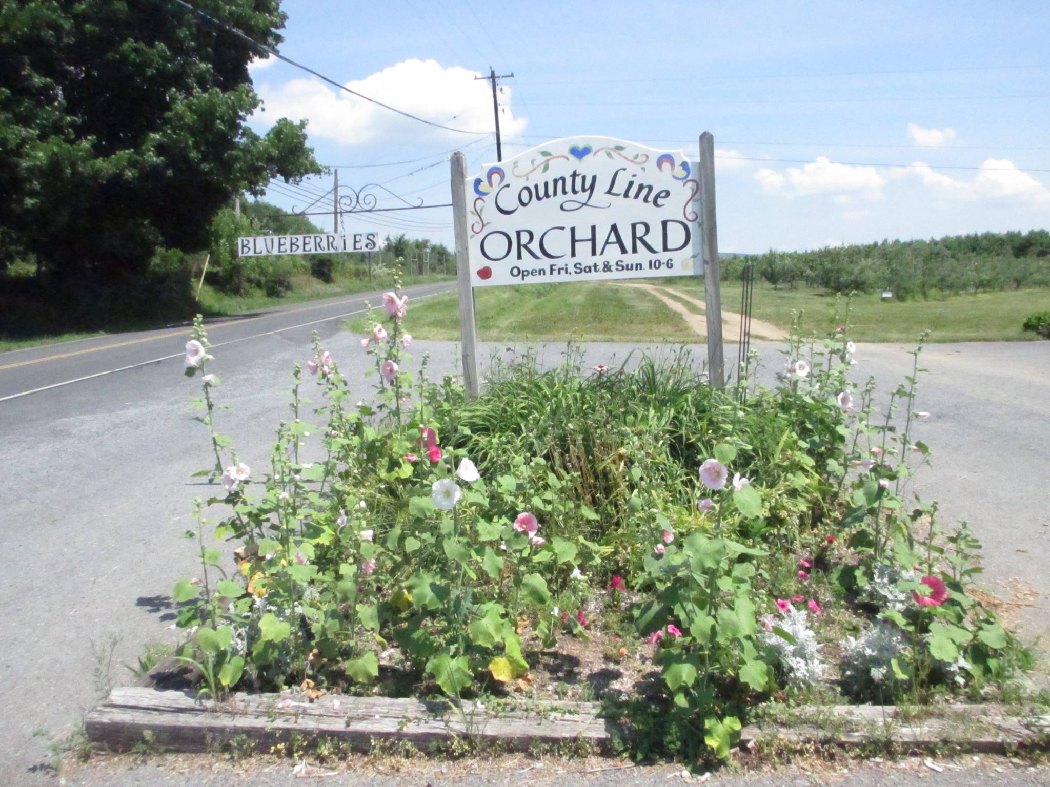 County Line Orchard - Grow Together