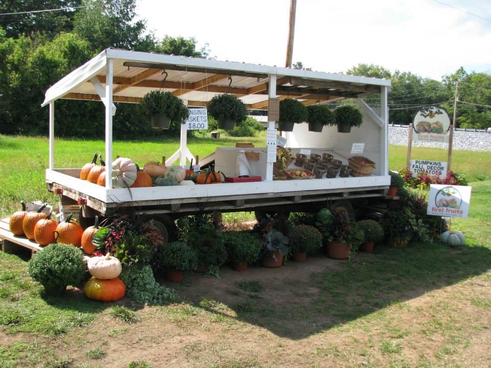 Firstfruits Orchard - Grow Together