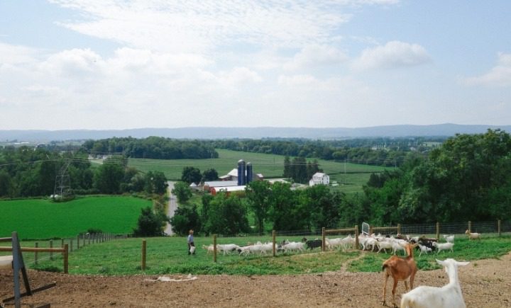 Kirchenberg Goat Dairy Farm - Grow Together