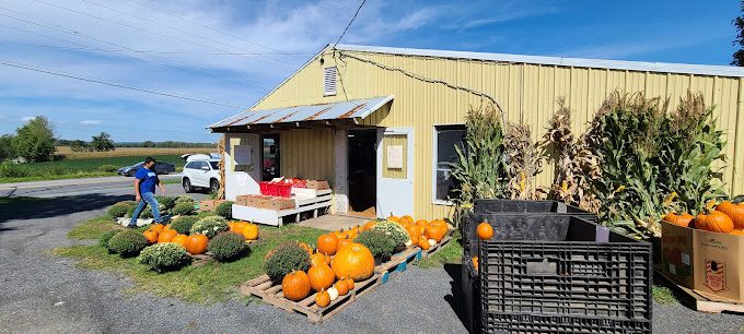 Martin's Produce - Grow Together