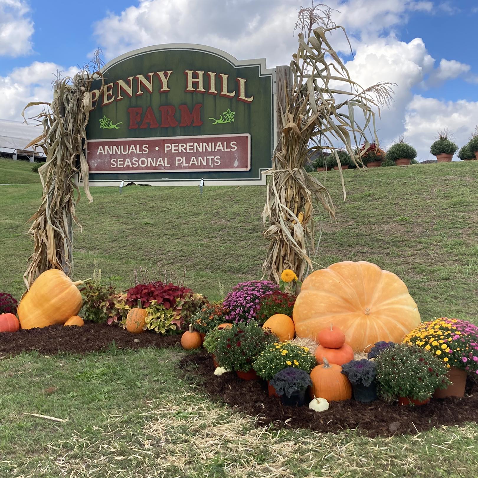 Penny Hill Farm - Grow Together