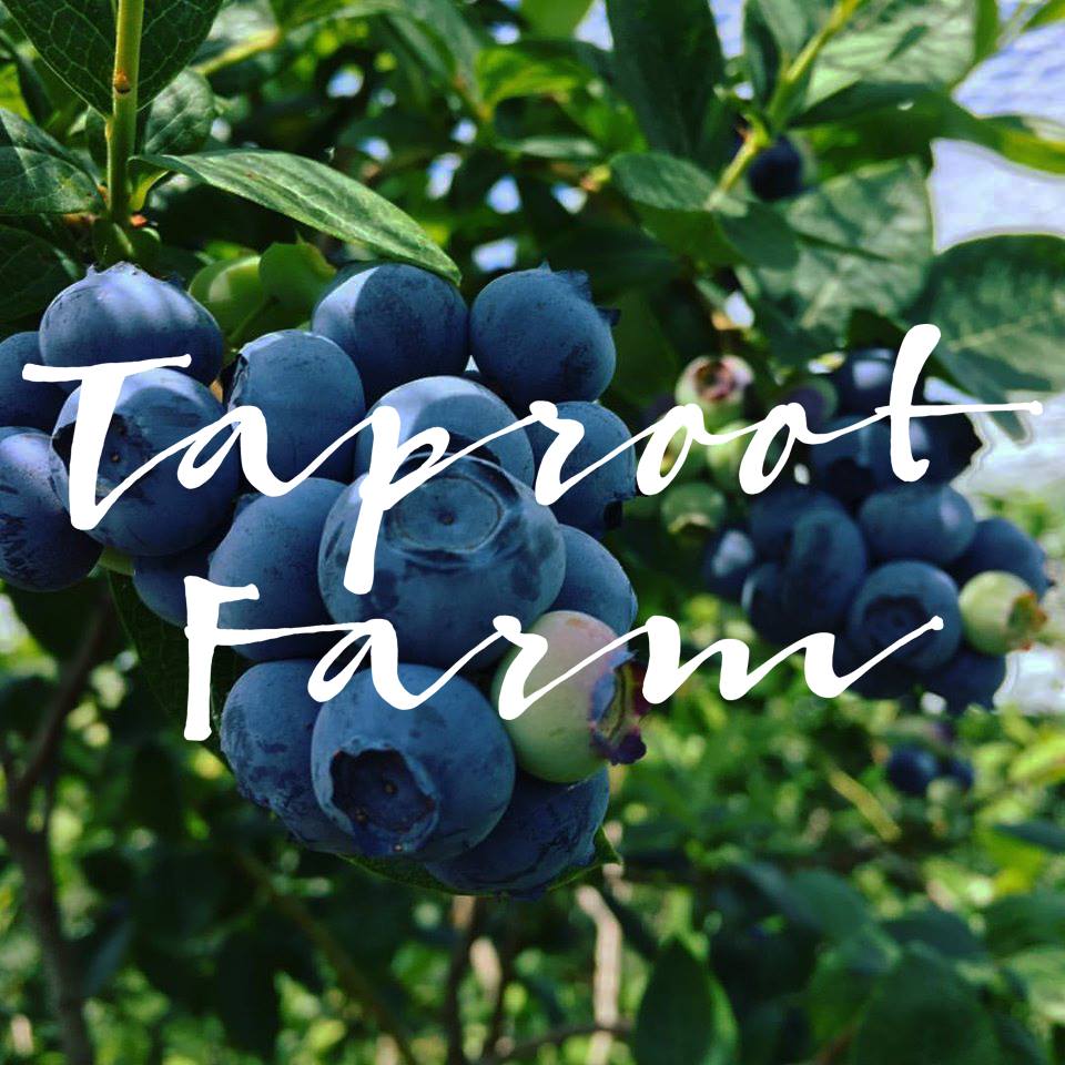 Taproot Farm - Grow Together