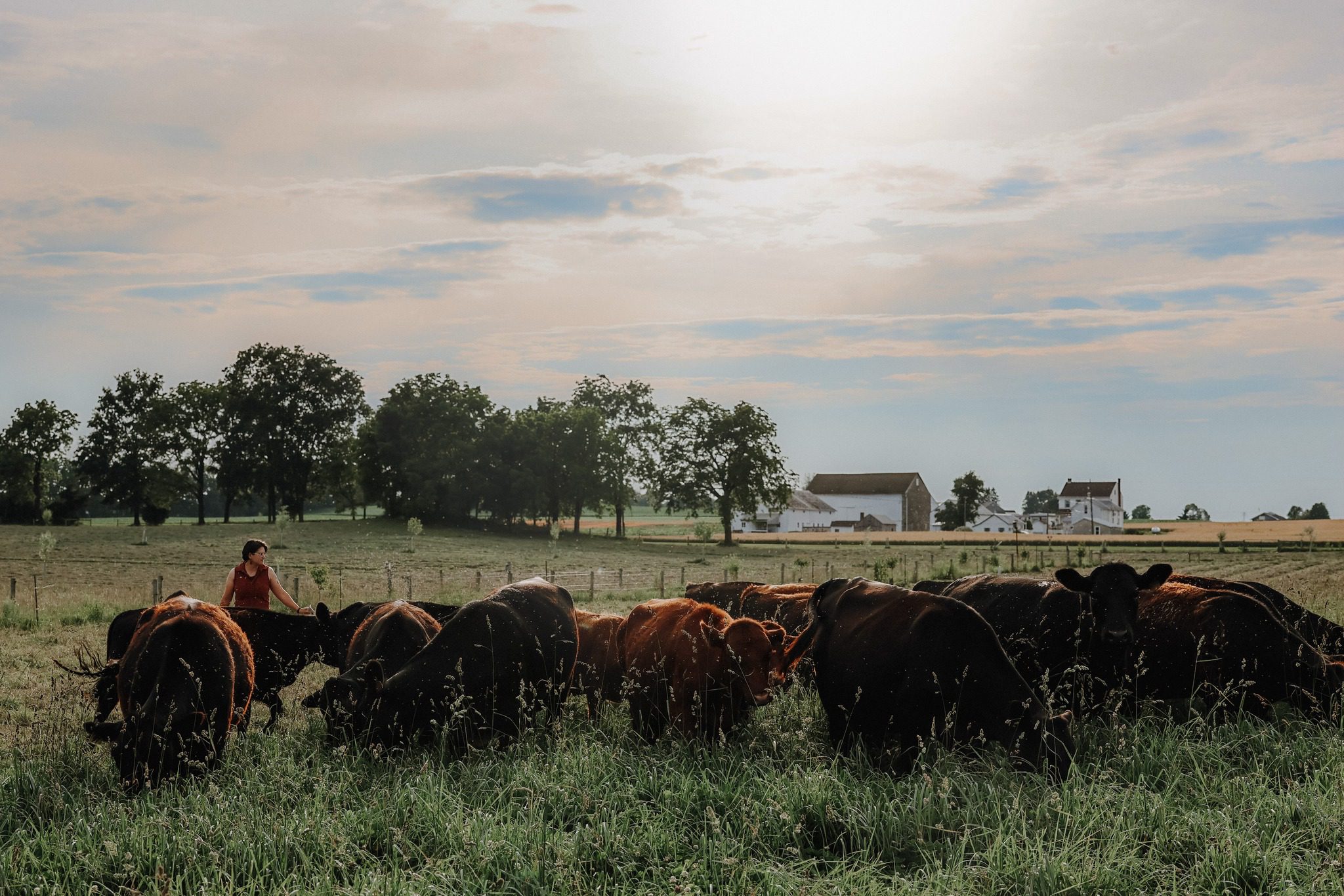 Willow Run Farm - Grow Together