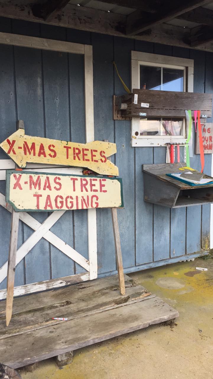 Atlee Trees - Grow Together