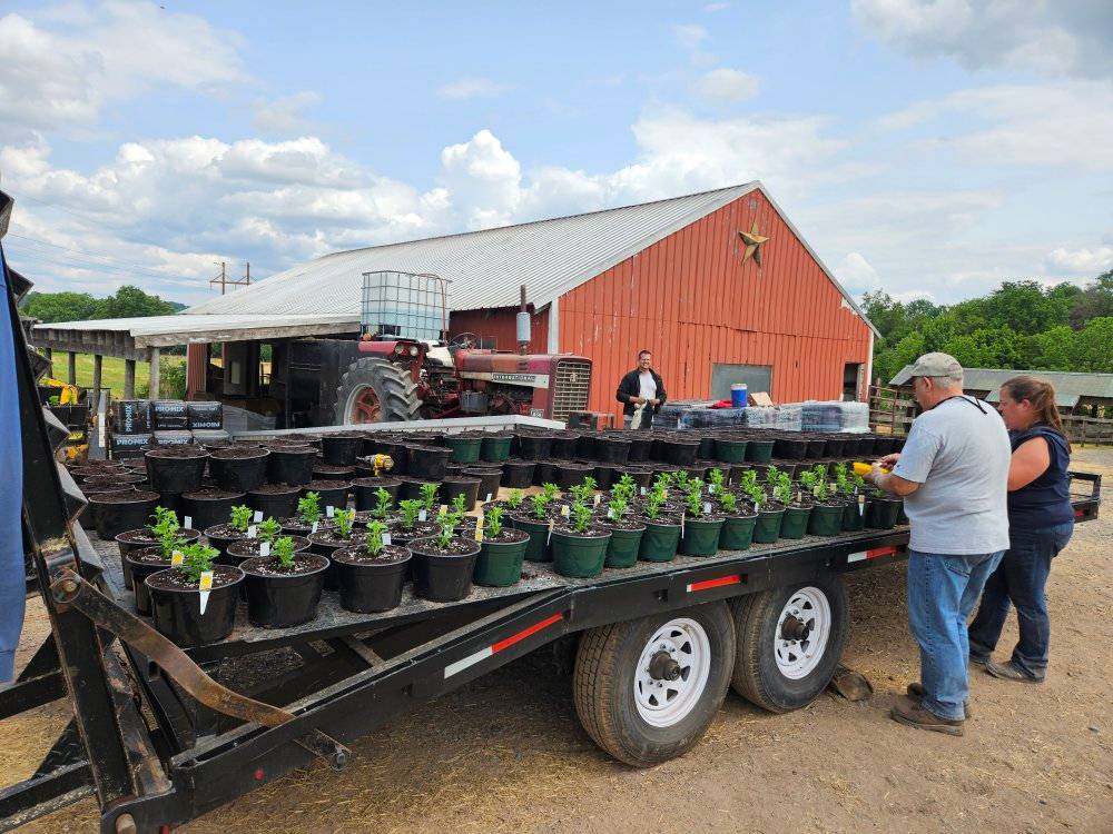 Doe Run Farm - Grow Together