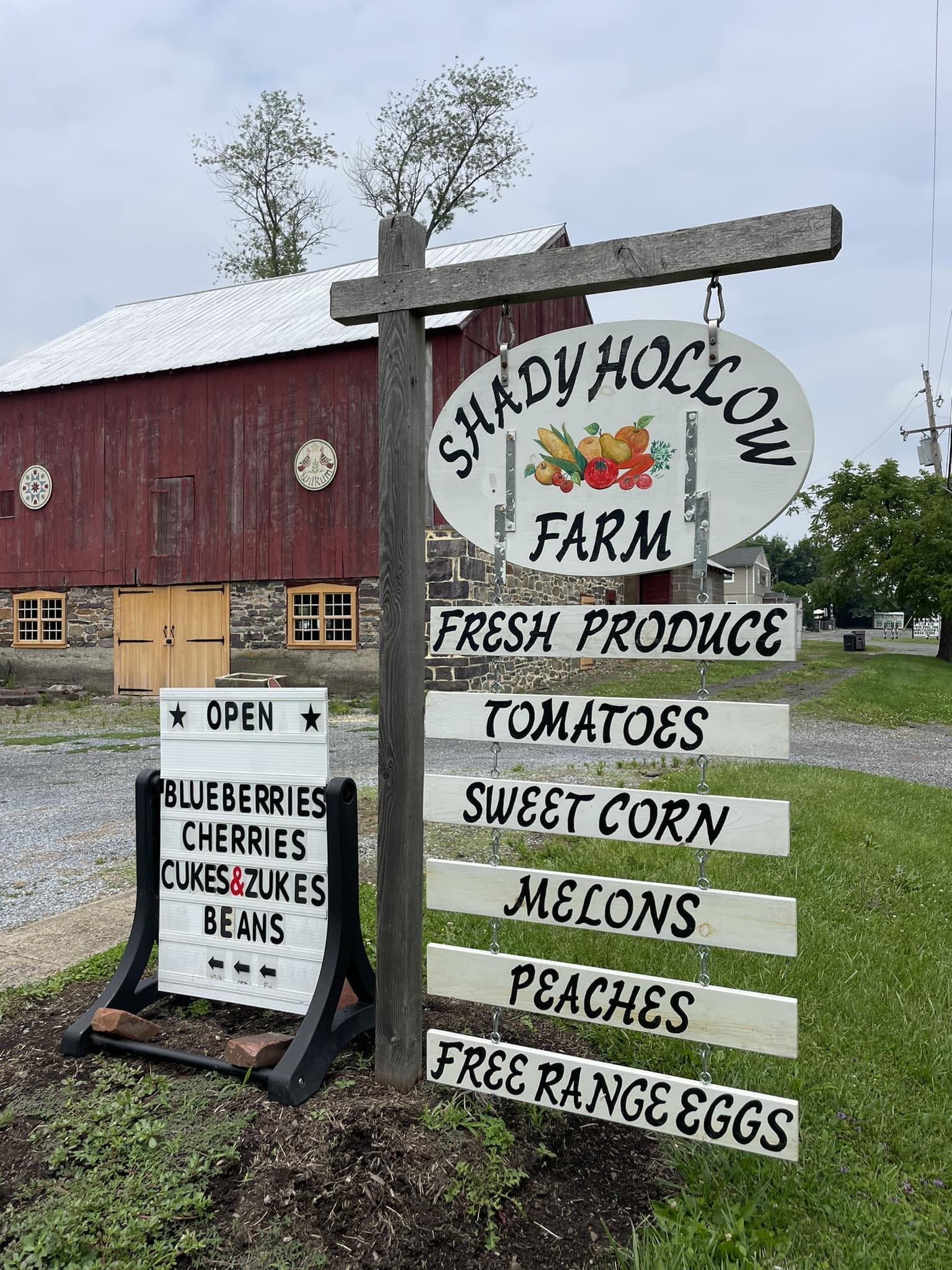 Shady Hollow Farm - Grow Together