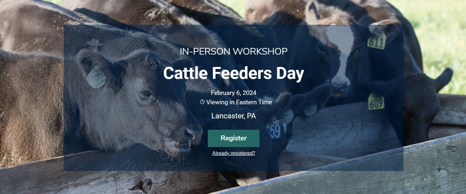 IN-PERSON WORKSHOP Cattle Feeders Day - Grow Together