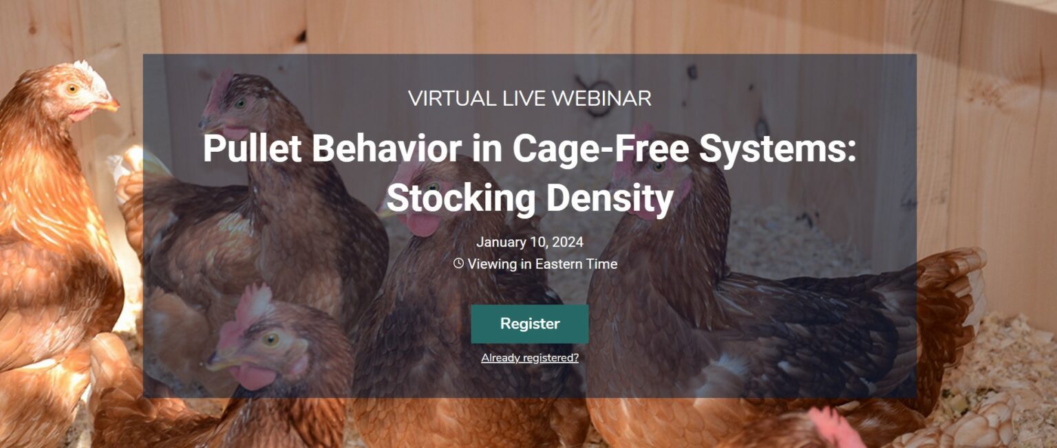 VIRTUAL LIVE WEBINAR Pullet Behavior in Cage-Free Systems: Stocking ...