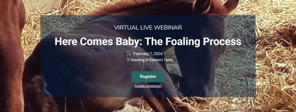 VIRTUAL LIVE WEBINAR Here Comes Baby: The Foaling Process - Grow Together