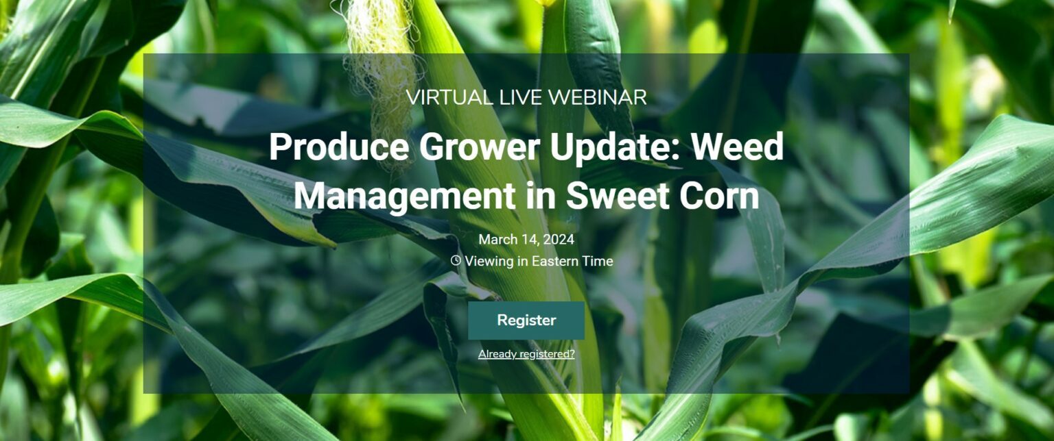 VIRTUAL LIVE WEBINAR Produce Grower Update: Weed Management in Sweet ...