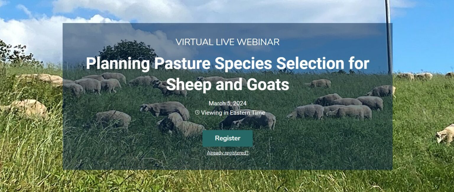VIRTUAL LIVE WEBINAR Planning Pasture Species Selection for Sheep and ...
