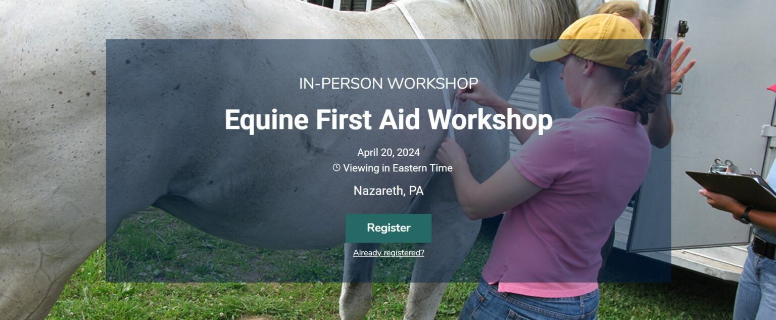Equine First Aid Workshop - Grow Together