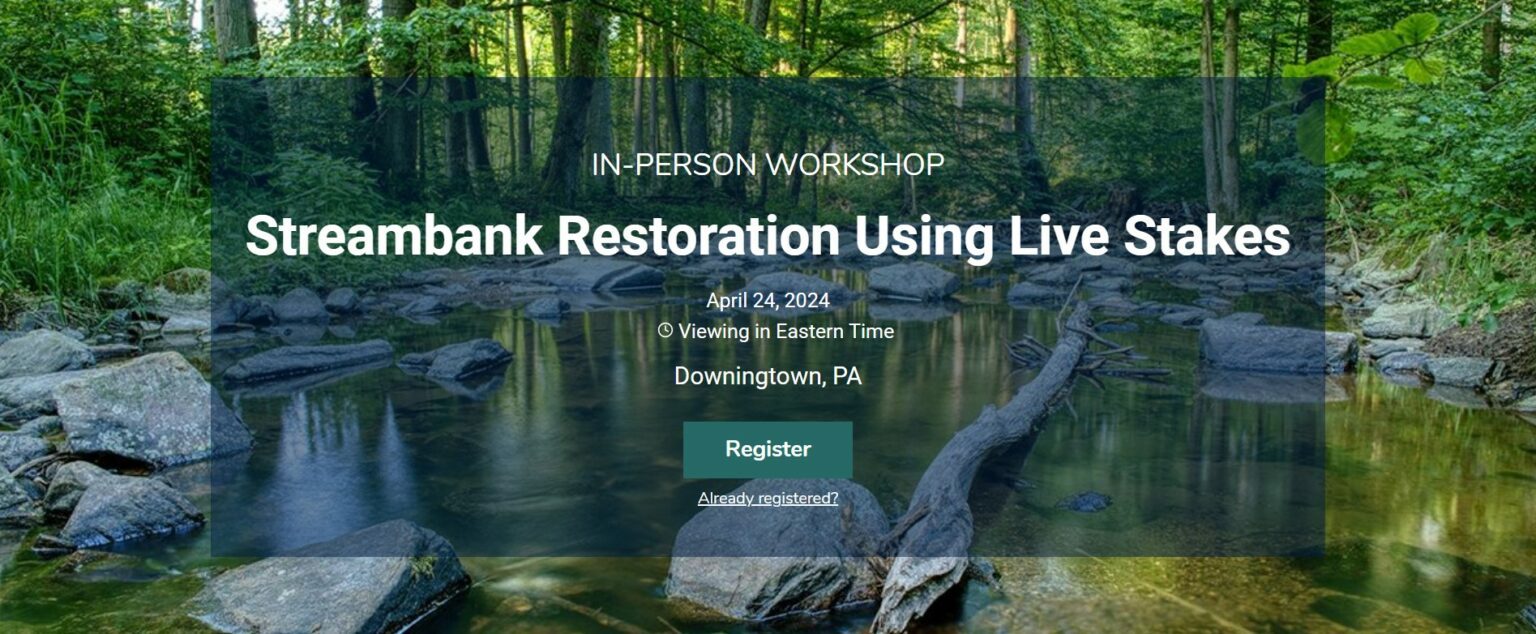 Streambank Restoration Using Live Stakes - Grow Together