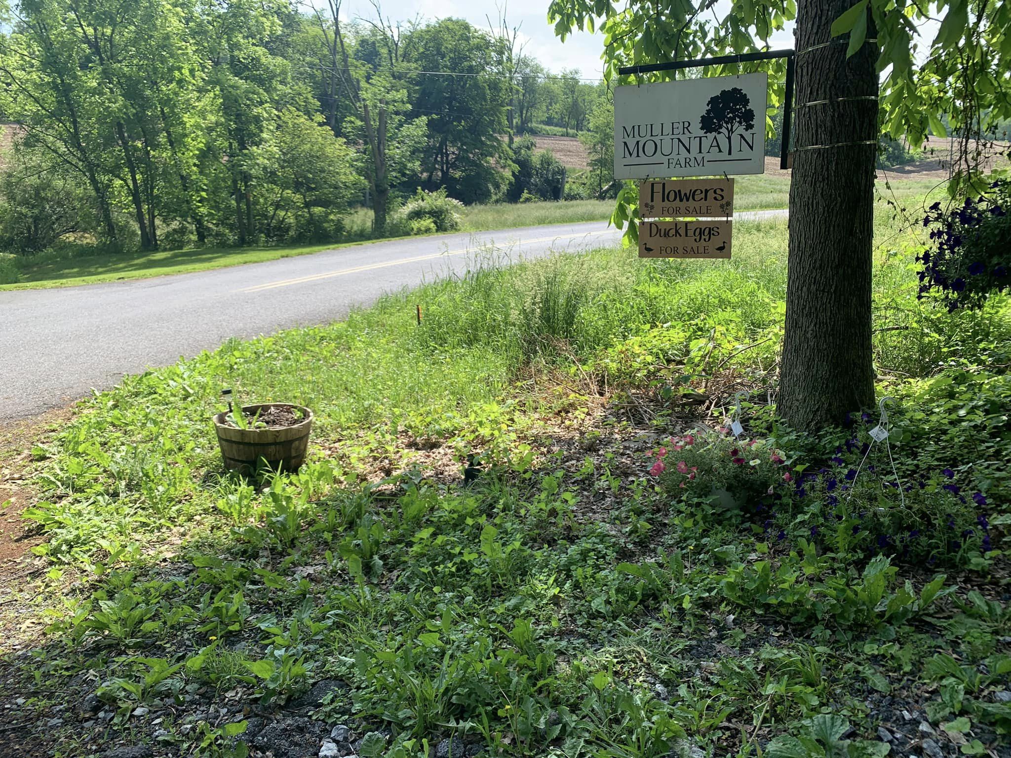 Muller Mountain Farm - Grow Together