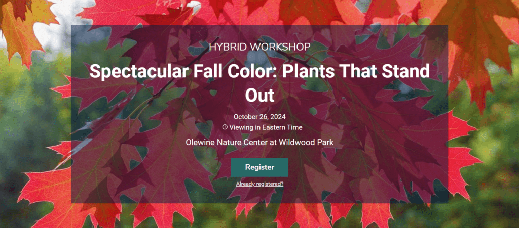Spectacular Fall Color: Plants That Stand Out - Grow Together