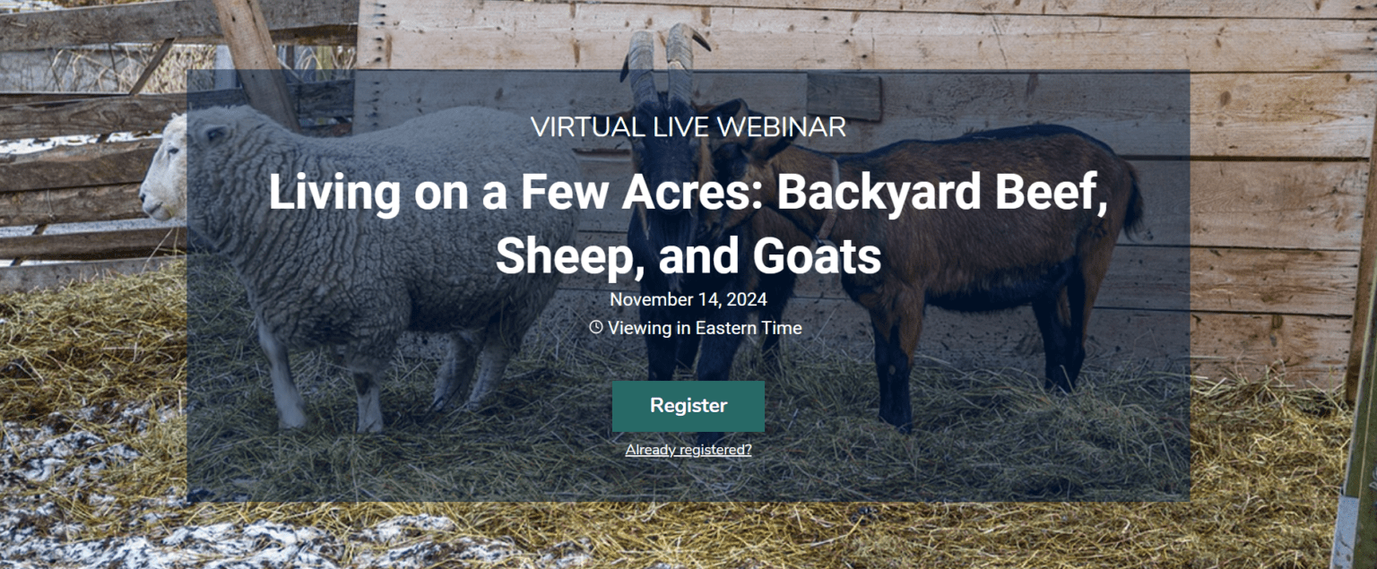 Living on a Few Acres: Backyard Beef, Sheep, and Goats - Grow Together