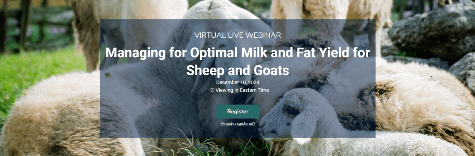 Managing for Optimal Milk and Fat Yield for Sheep and Goats - Grow Together