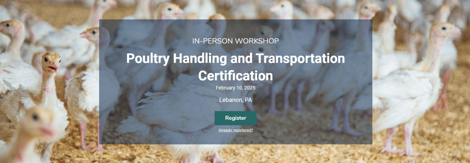Poultry Handling and Transportation Certification - Grow Together