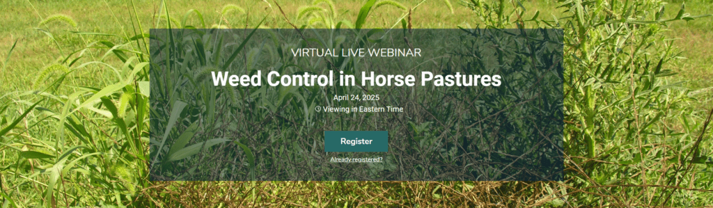 Weed Control in Horse Pastures - Grow Together