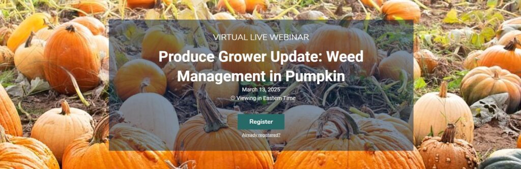 Produce Grower Update: Weed Management in Pumpkin - Grow Together