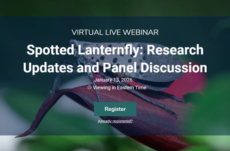 Spotted Lanternfly: Research Updates and Panel Discussion - Grow Together